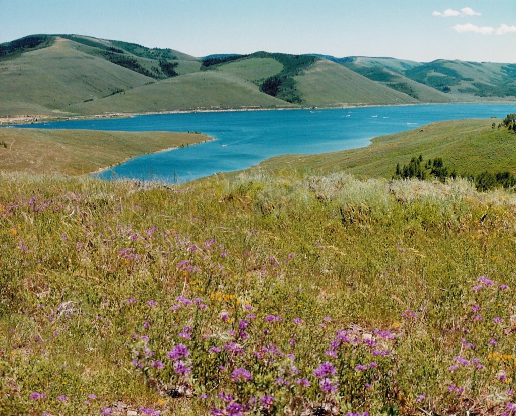 Scofield-UT-Aspen Cove at Scofield-Utah Mountain Property (3) | Aspen ...